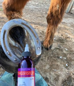 Thrush Treatment for Horses - The Outlaw Thrush Stuff